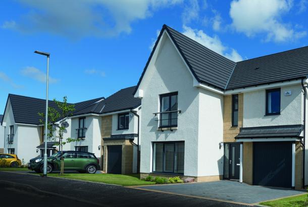 Timber Engineering case studies | Robertson